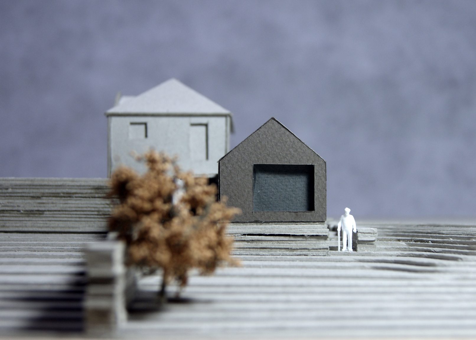 The Coach House - Ian Hazard Architect