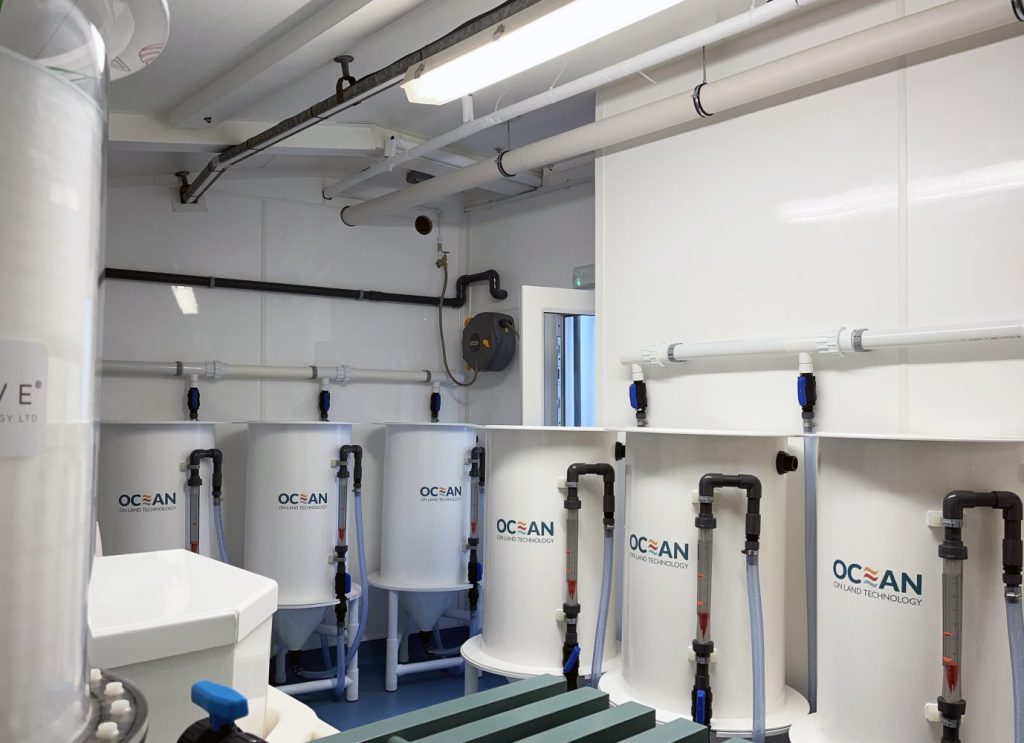 Whitby Lobster Hatchery Phase 1a Completion - Ian Hazard Architect