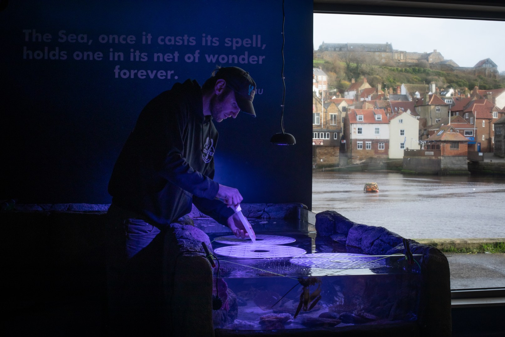 Whitby Lobster Hatchery and Marine Discovery Centre Phase 1 - Ian ...