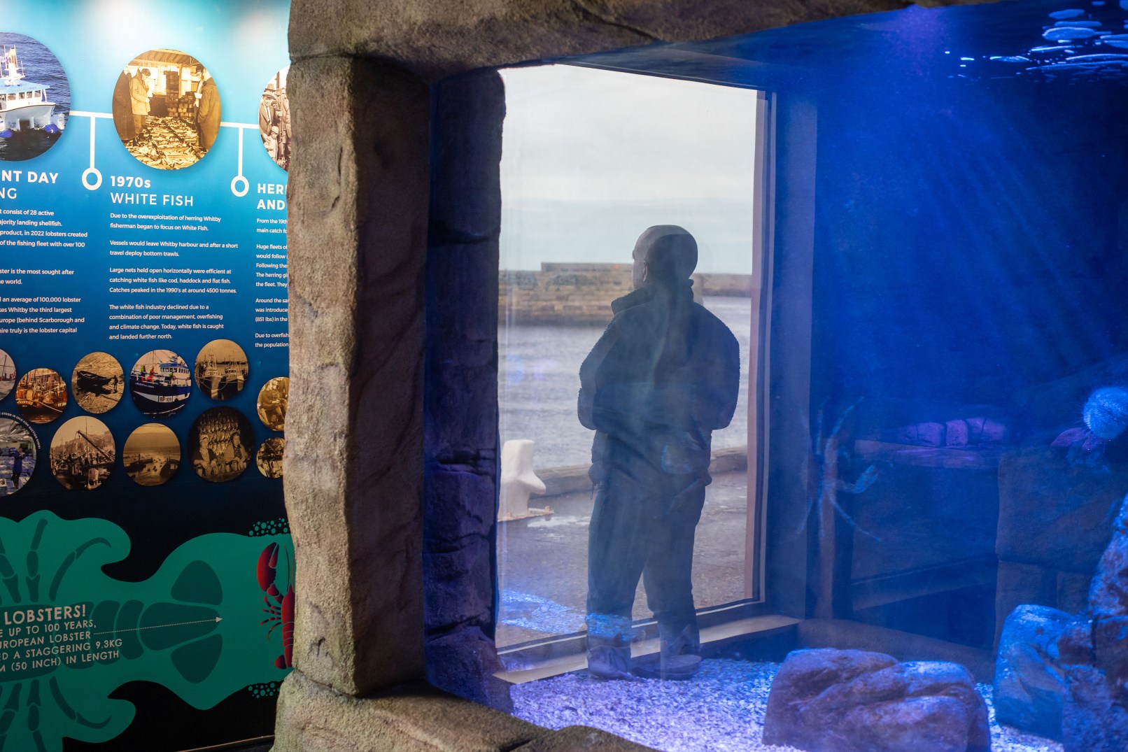 Whitby Lobster Hatchery and Marine Discovery Centre Phase 1 - Ian ...